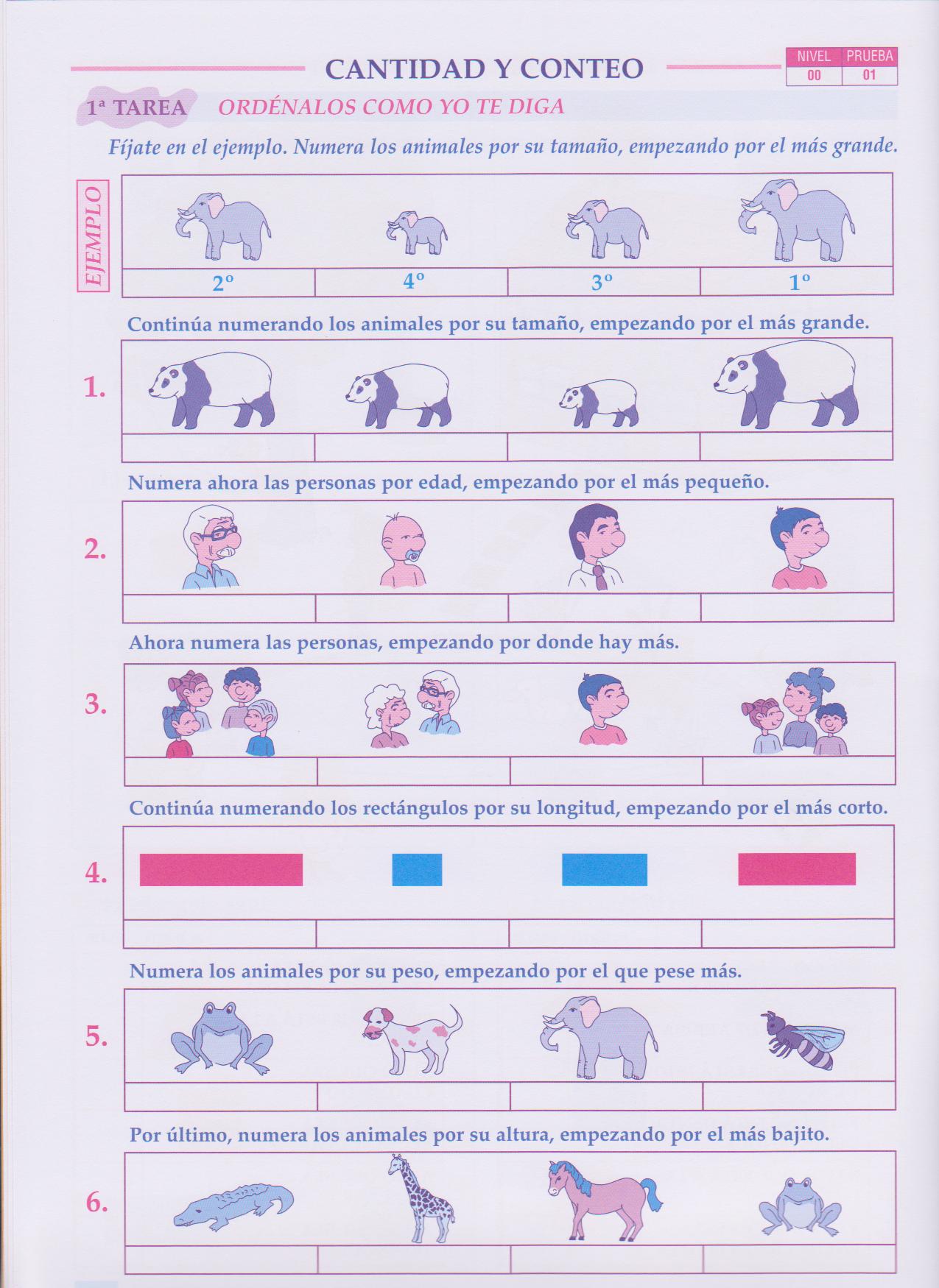 Evamat 0 :: Alejandra Alarcón Mellado